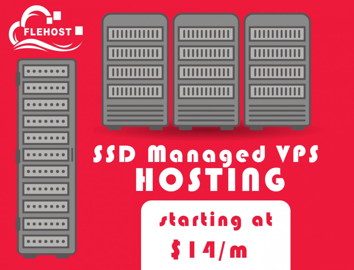 SSD Managed VPS Hosting Affordable Prices - FleHost